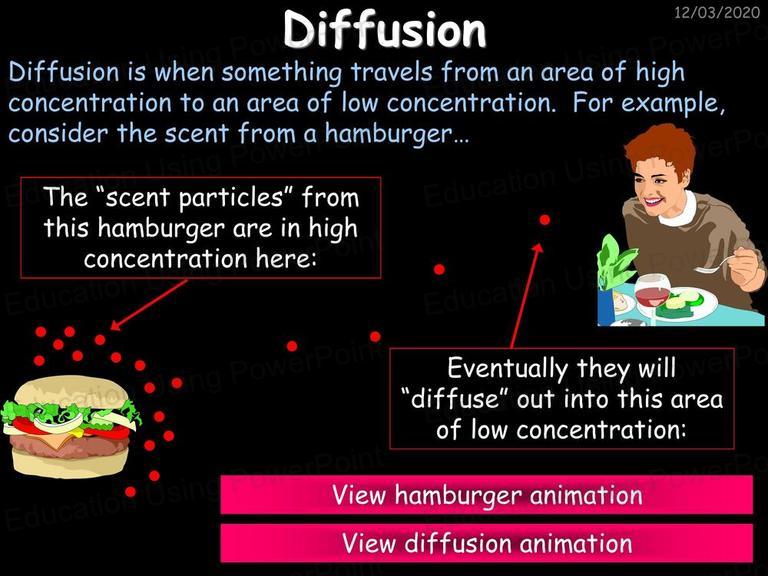 7G Particle Model | Education Using Powerpoint