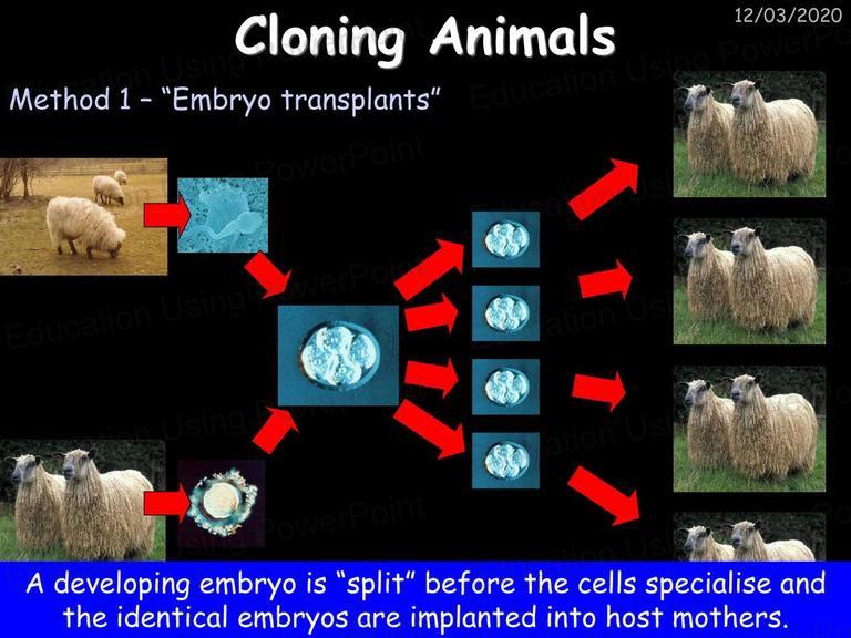 Biology 1b - Evolution and the Environment | Education Using Powerpoint