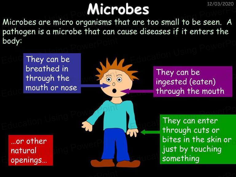 8C Microbes and Disease | Education Using Powerpoint